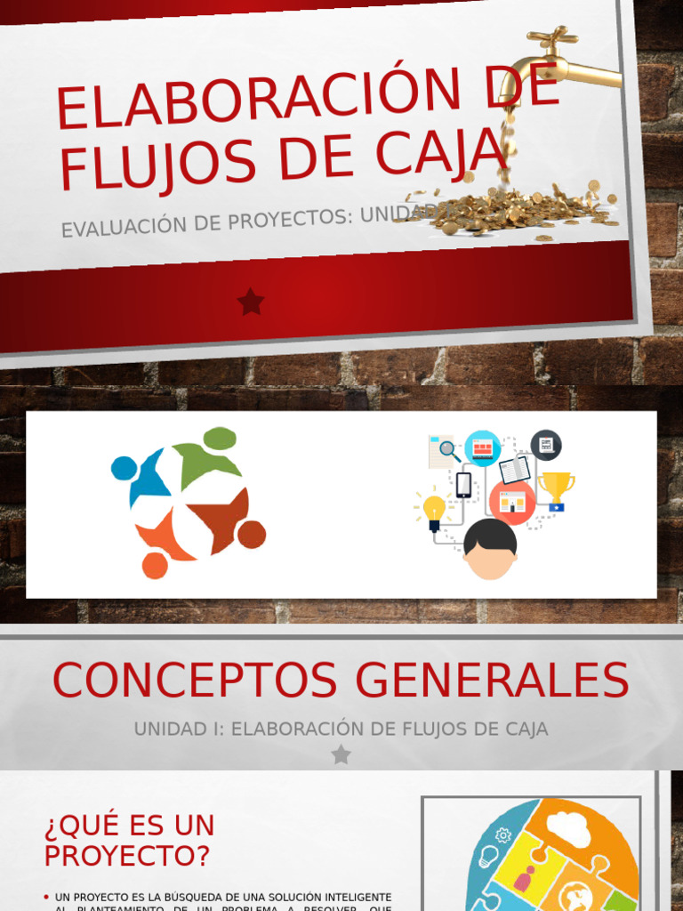 Flujos de Caja en Evaluación de Proyectos | PDF | Presupuesto | Interés