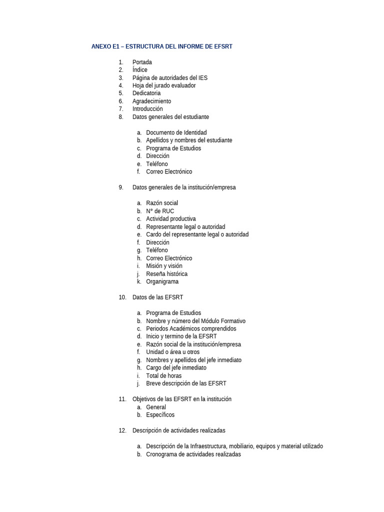 Anexo E1 - Estructura Del Informe de Efsrt | PDF