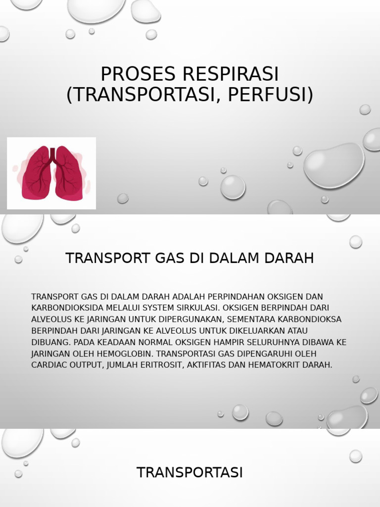 Kelompok 3 Transportasi & Perfusi | PDF