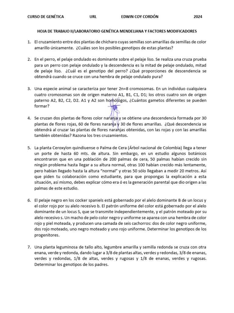 Hoja de Trabajo Preparatorio para Parcial II Genética Mendeliana y ...