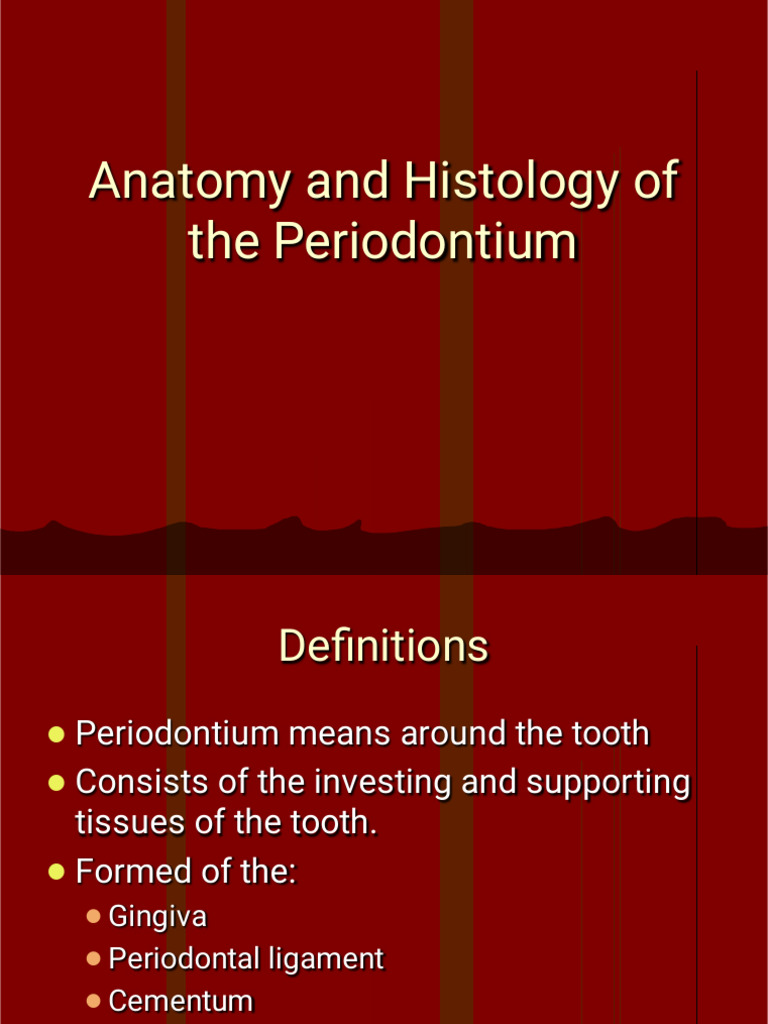 Anatomy and Histology of Periodontium | PDF | Periodontology | Epithelium