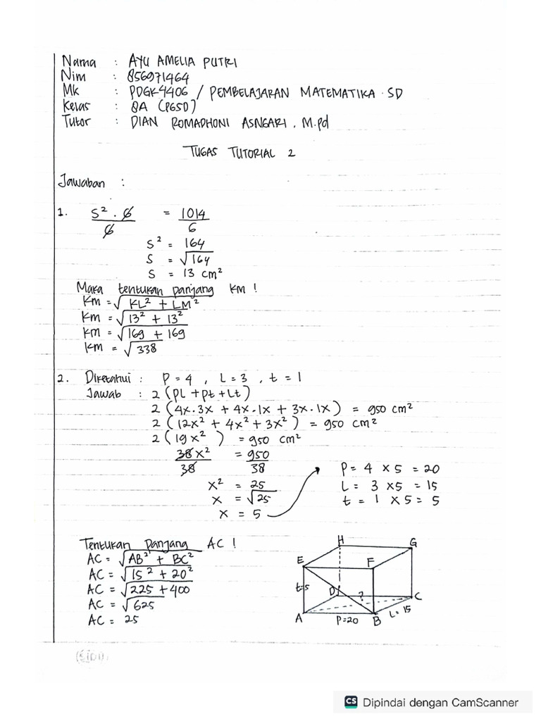 TT2 Pembelajaran Matematika SD Ayu Amelia Putri | PDF