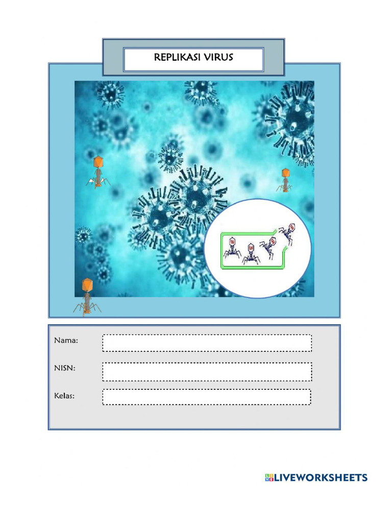 Document | PDF