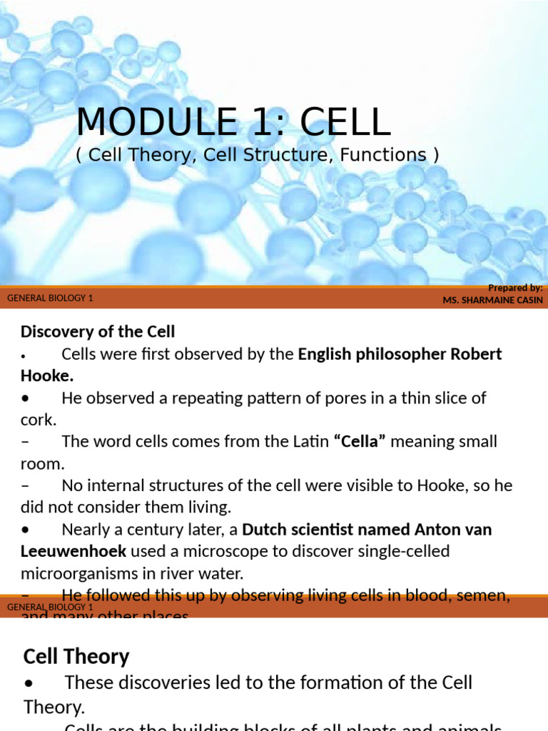 Lesson 1 Cell 11 Stem B and e | PDF | Cell Membrane | Cell (Biology)