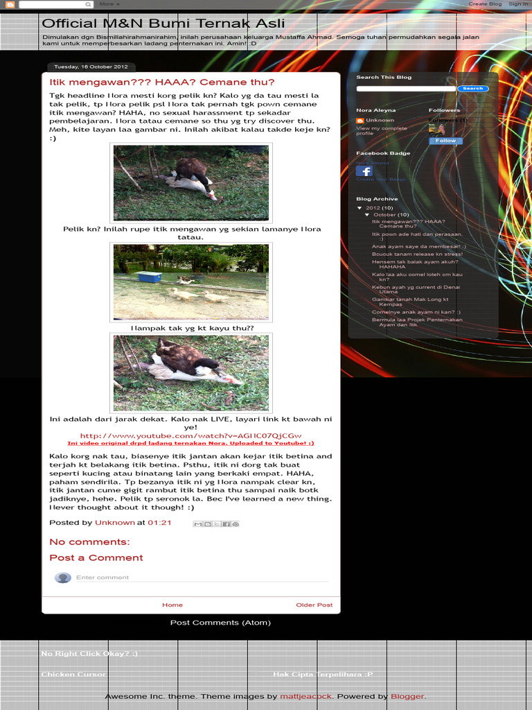 Official M&N Bumi Ternak Asli Itik Mengawan H | PDF