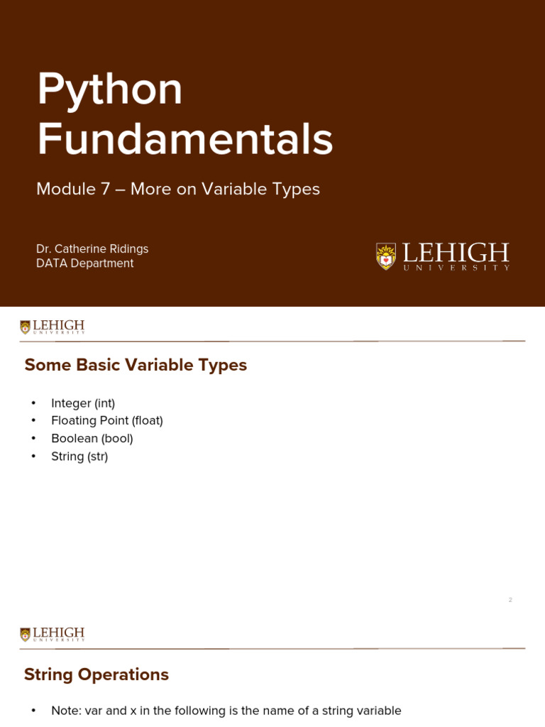 Python Variable Types Guide | PDF