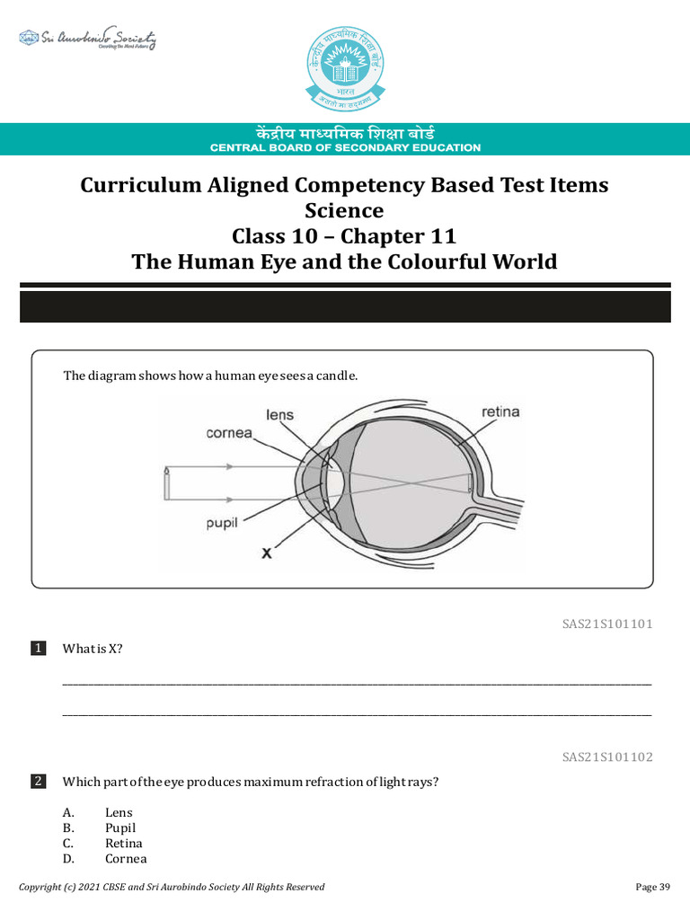 Document From Ajay - 241109 - 081250 | PDF | Eye | Human Eye