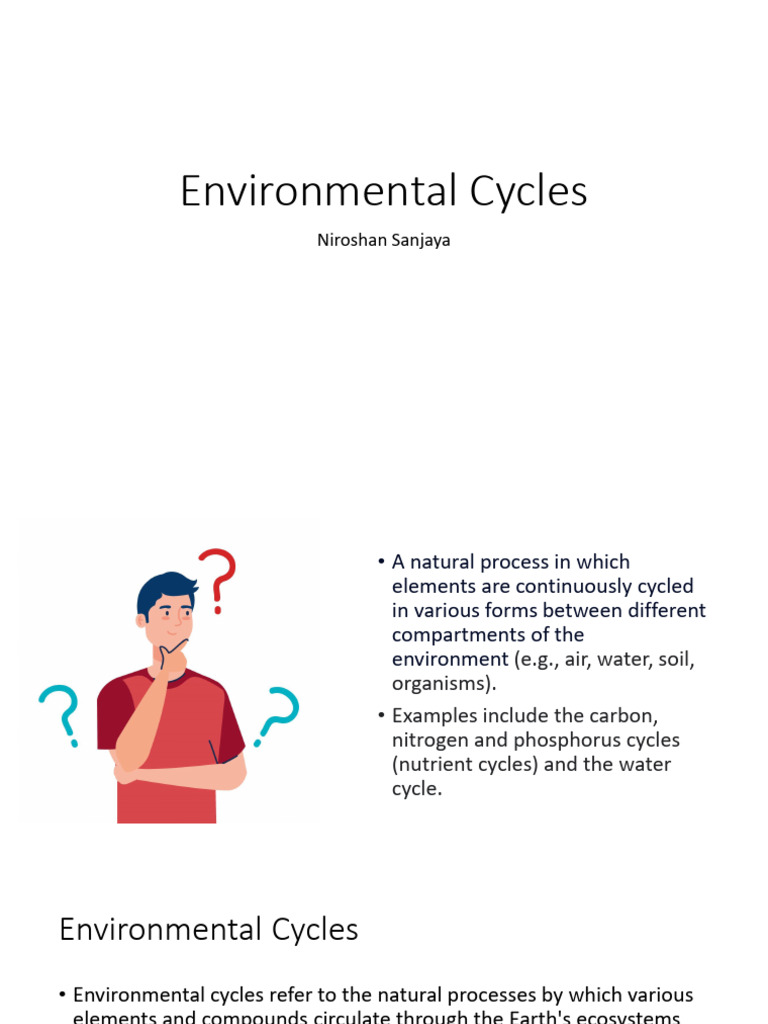 Environmental Cycles | PDF | Water Cycle | Ecosystem