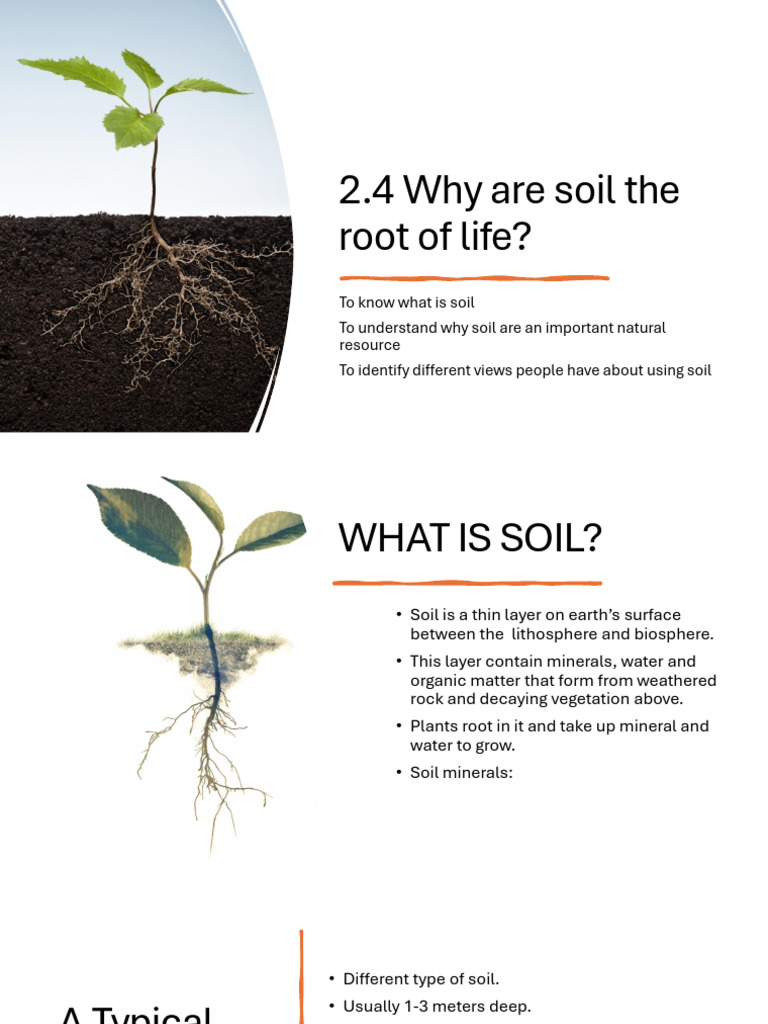 2.4 Why Are Soil The Root of Life? | PDF | Social Science