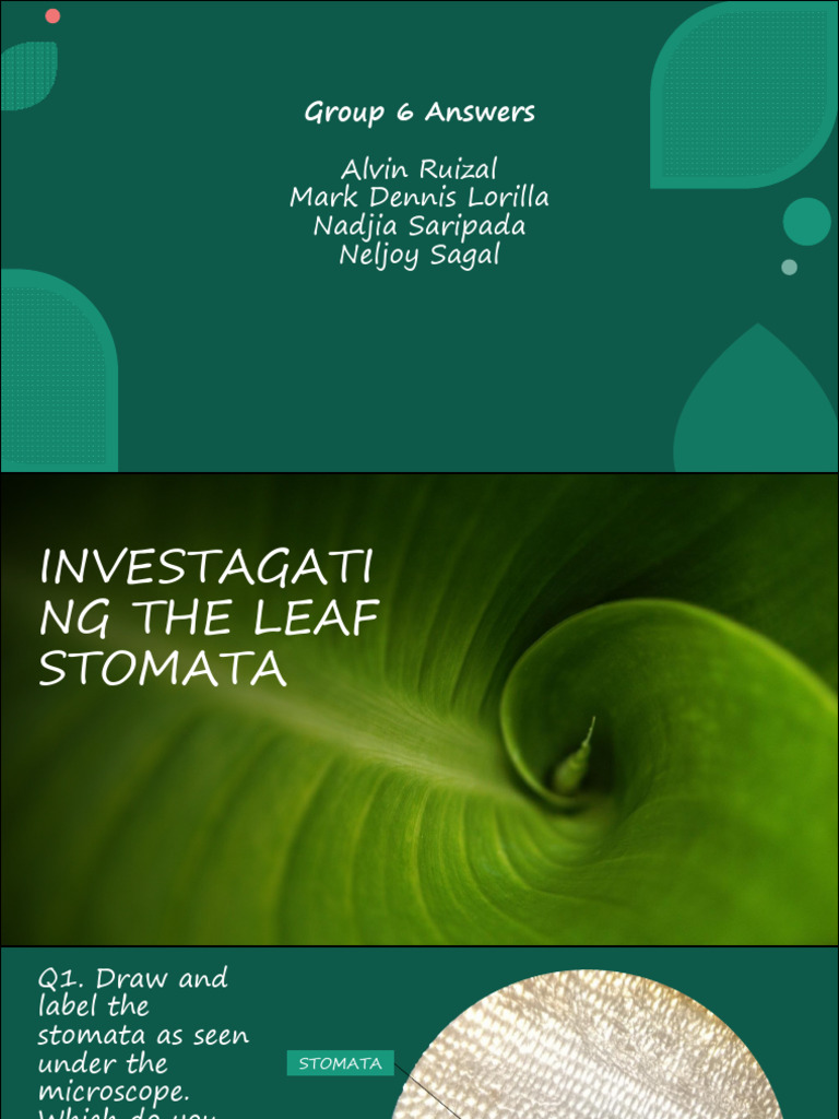 Group 6 | PDF | Wellness | Science & Mathematics