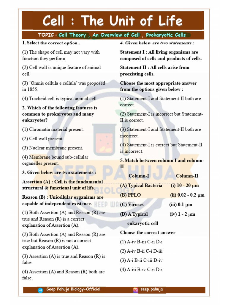 Cell DPP 1 | PDF | Cell (Biology) | Organelle