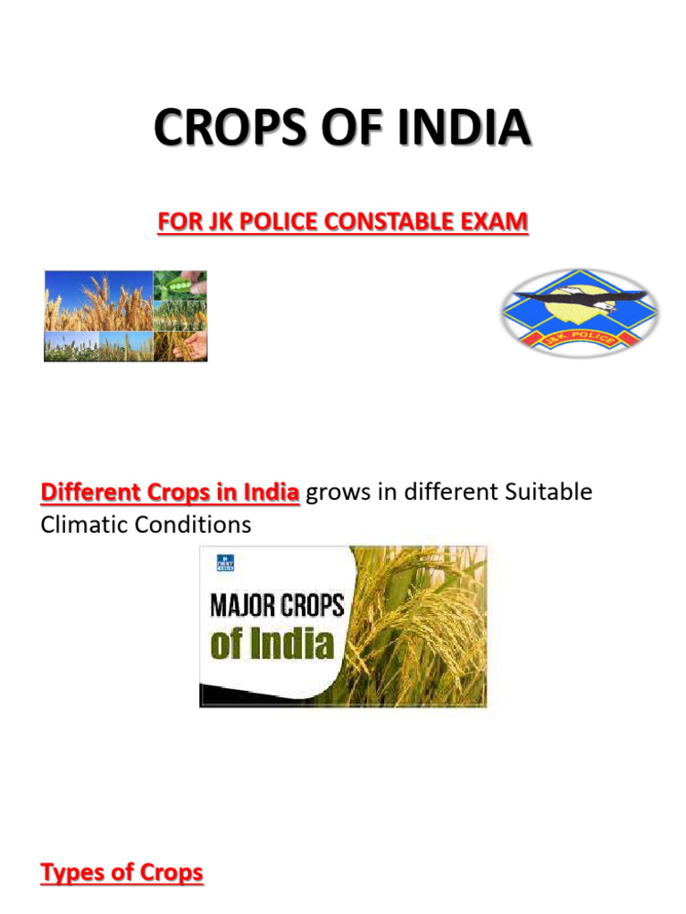 Types of Crops in India: Kharif, Rabi, Zaid | PDF | Crops | Cash Crop