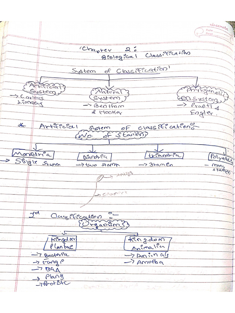 Biological Classification Notes | PDF