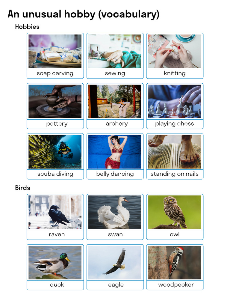 Vocabulary List Hobbies | PDF