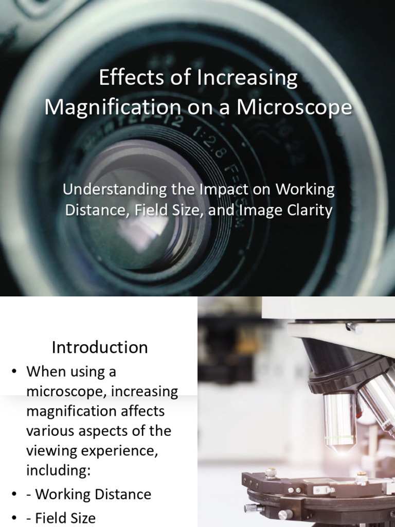 Microscope Magnification Effects 2024 | PDF