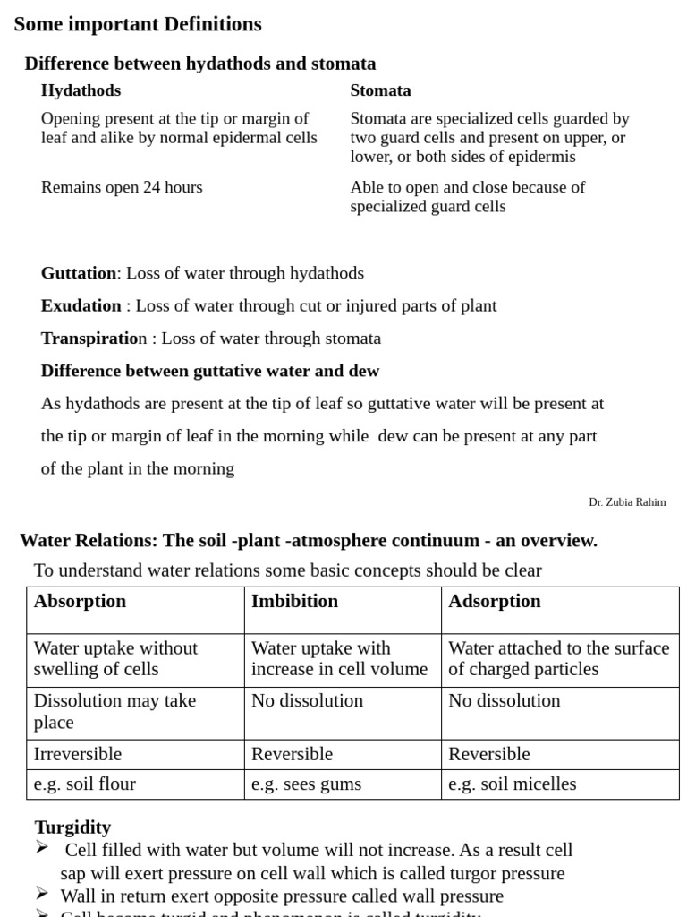 Lecture Plant Physio - Water Relation | PDF | Young's Modulus | Elasticity (Physics)