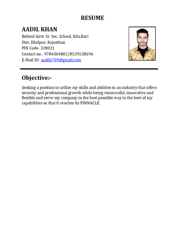Aadil Resume New | PDF