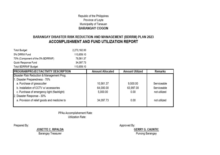BDRRM Plan 2023 Fund Utilization Report | PDF