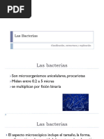 Catalogo Bacterias-1 | PDF | Las bacterias | Escherichia coli
