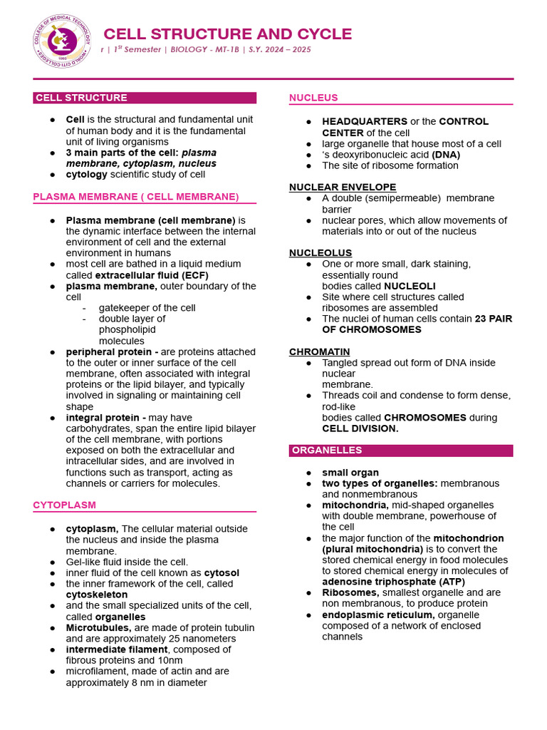 Bio101 - Cell Structure and Cycle | PDF | Mitosis | Endoplasmic Reticulum
