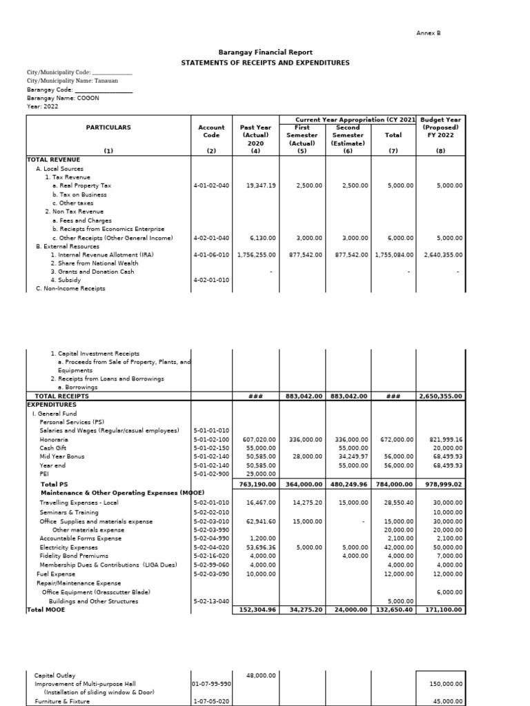 Dodeth DILG Reports | PDF | Taxes | Revenue