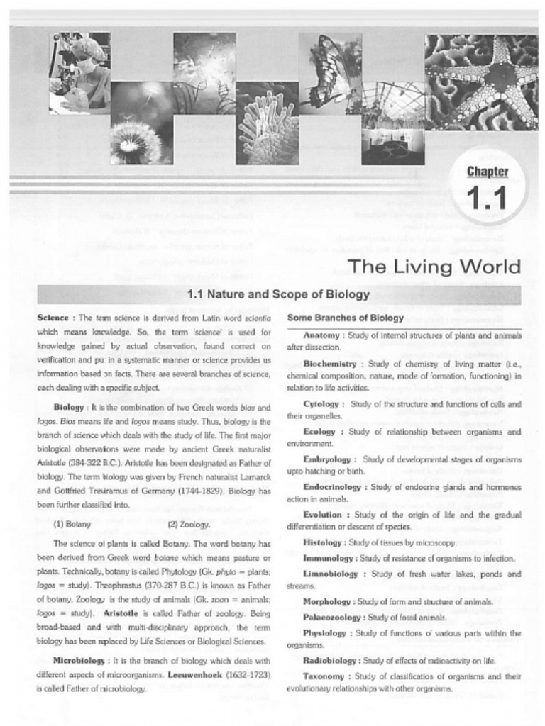 Nature & Scope of Biology Daily Practice Papers | PDF