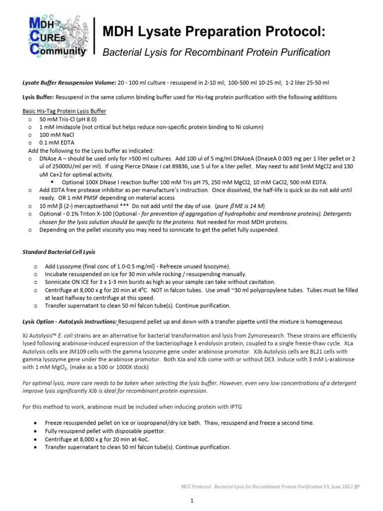 Protocol Bacterial Lysis | PDF | Lysis | Macromolecules