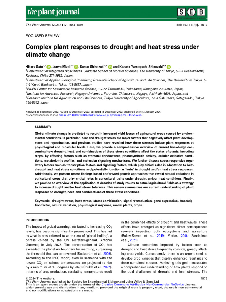 Plant Responses to Drought and Heat Stress | PDF | Reactive Oxygen ...