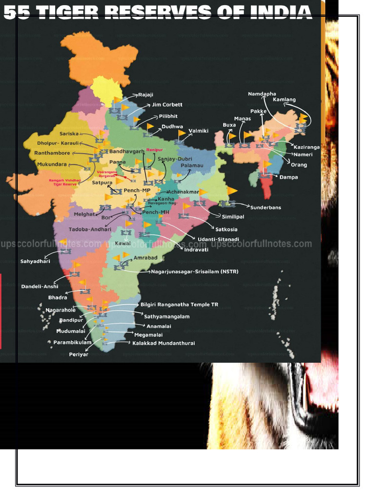 Tiger Project | PDF | Tiger | Conservation Biology