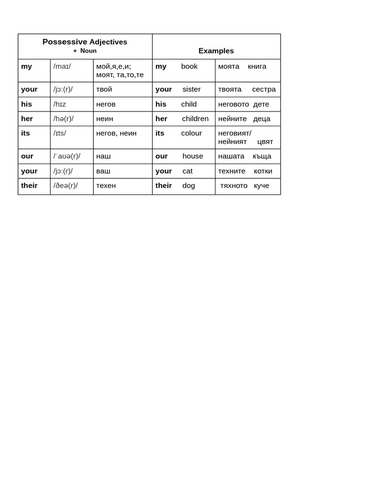 Possessive Adjectives Introduction | PDF