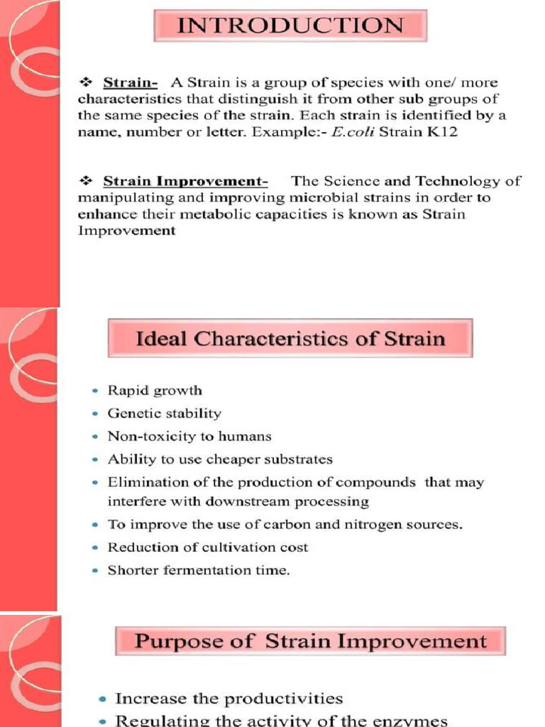 Strain Improvement | PDF