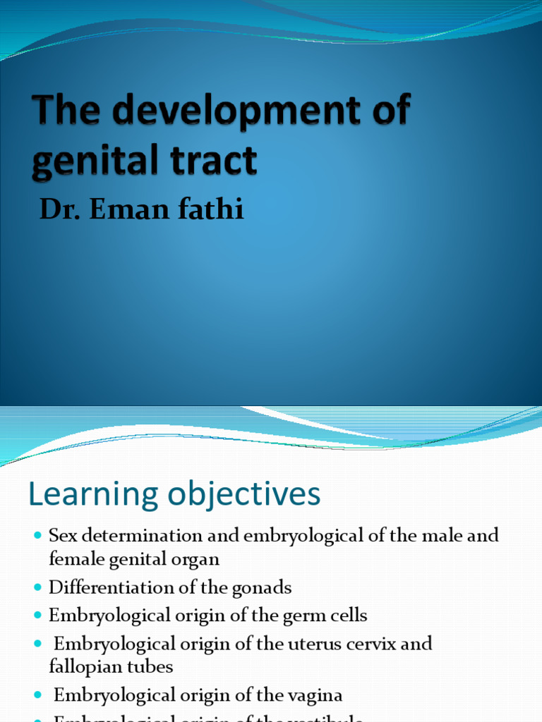 Embryology Pdf Meiosis Sex Organ