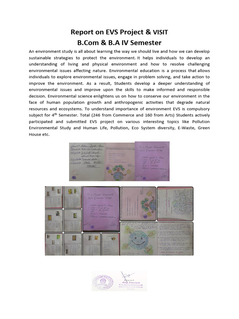 EVS Project Final | PDF