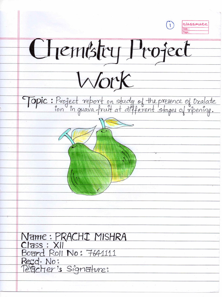Chemistry Project 1 | PDF