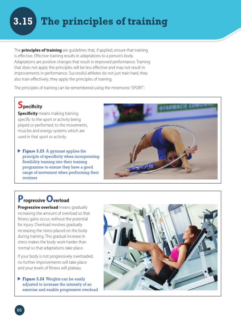 Principles of Training - GCSE - SB - PE | PDF | Strength Training ...