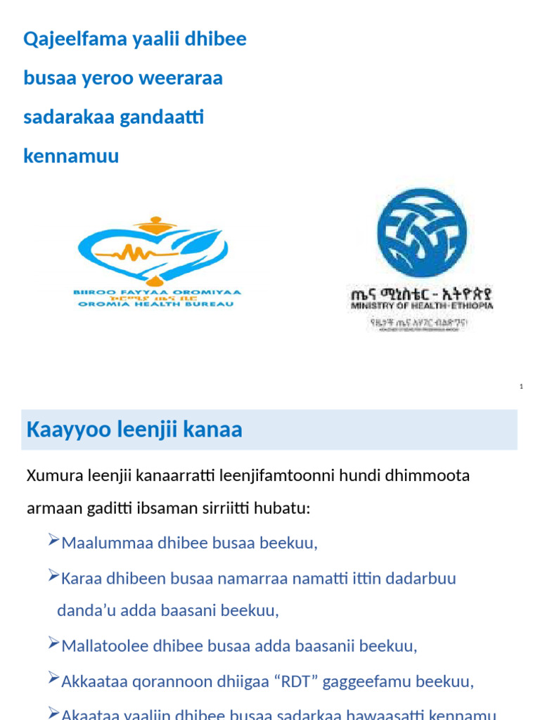 Qajeelfama Yaalii Dhibee Busaa Yeroo Weeraraa Sadarkaa Gandaatti | PDF
