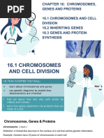Grade 11 Biology: Genetics & Cell Division | PDF | Dominance (Genetics ...