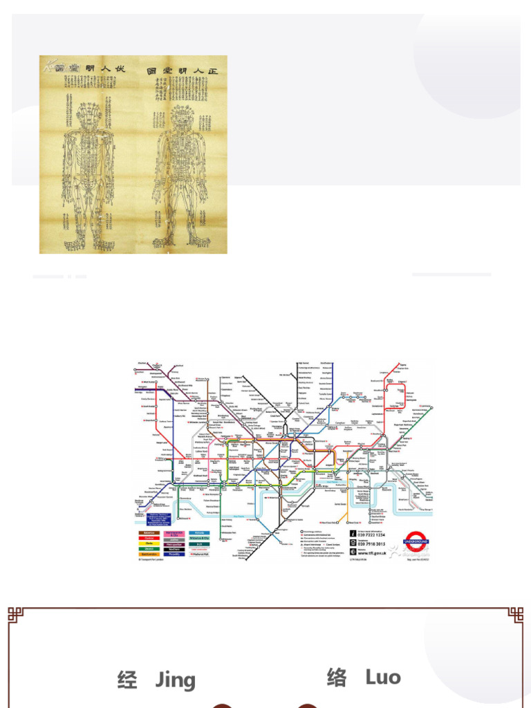Heart Meridian Pathway Overview | PDF | Meridian (Chinese Medicine ...