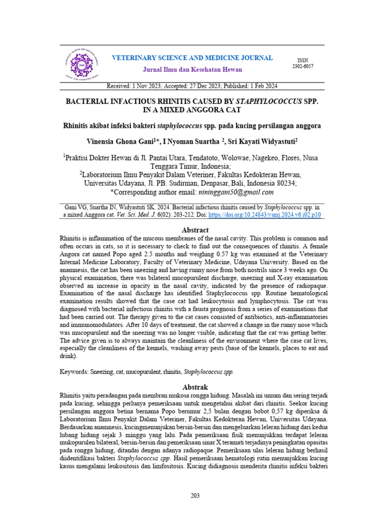 10 +Vinensia+Ghona+Gani+VSMJ | PDF