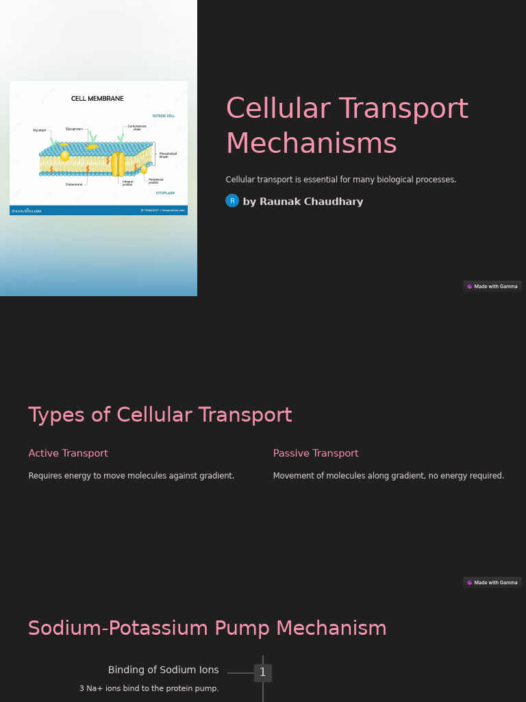 Cellular Transport Mechanisms Explained | PDF
