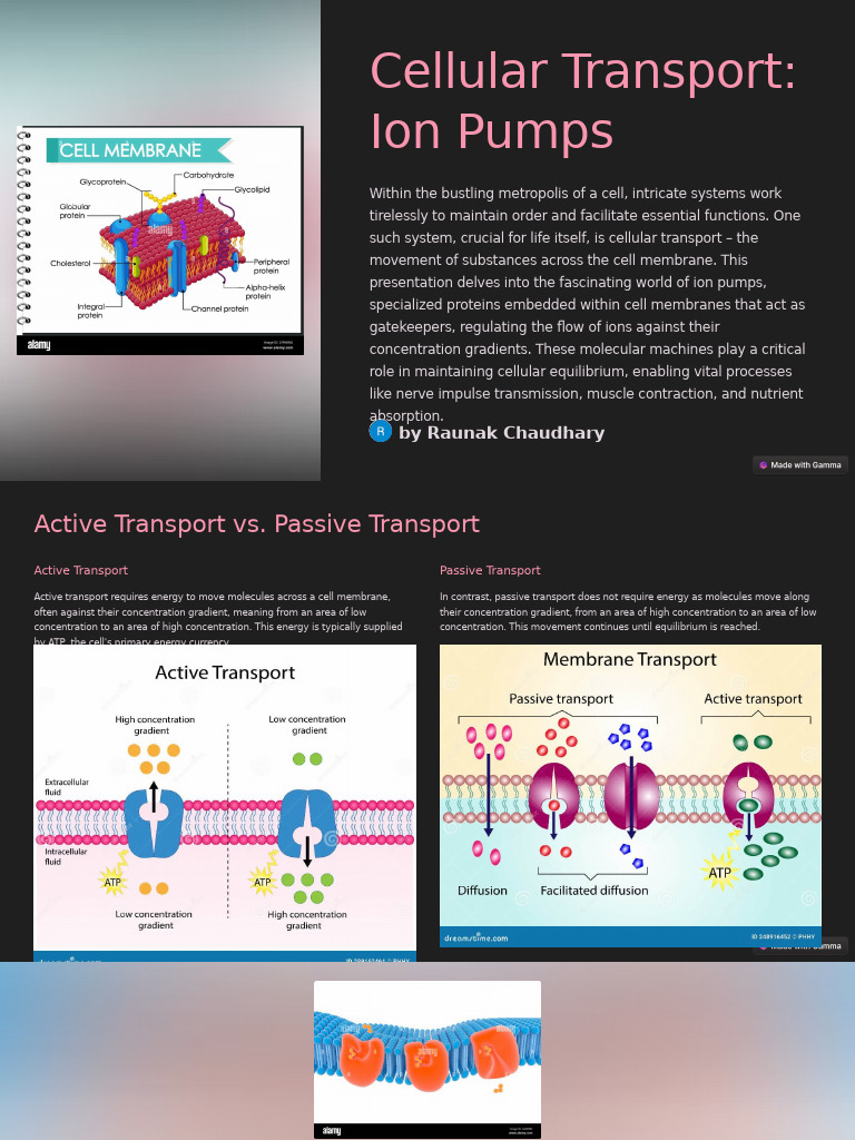 Cellular Transport Ion Pumps | PDF | Cell Biology | Biochemistry