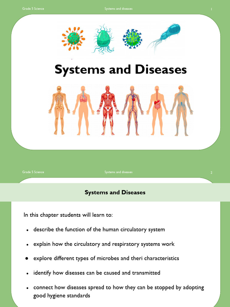 System & Diseases-1 - 240913 - 160524 | PDF | Lung | Respiratory System