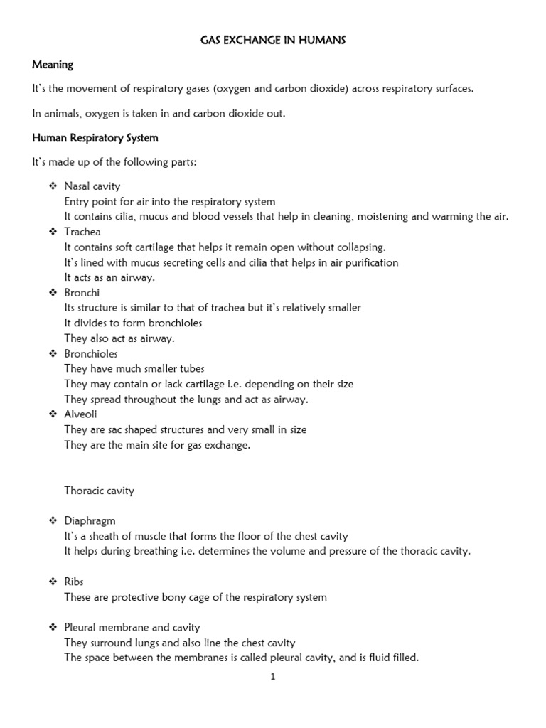 Animal Gas Exchange | PDF | Respiratory Tract | Breathing