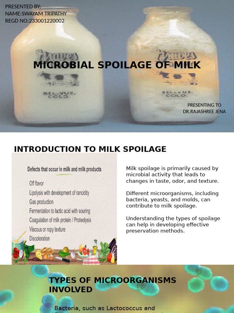 Microbial Spoilage of Milk Explained | PDF | Milk | Microorganism