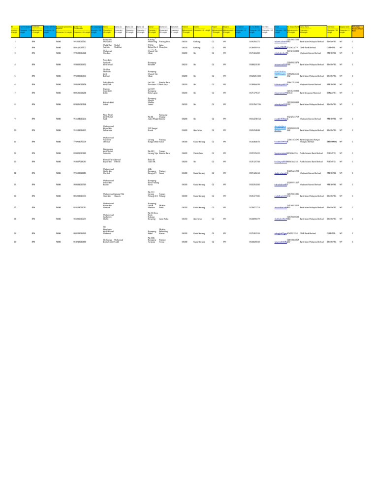 Borang Format Mass Upload Wujud V2 Pdf Institutional Investors