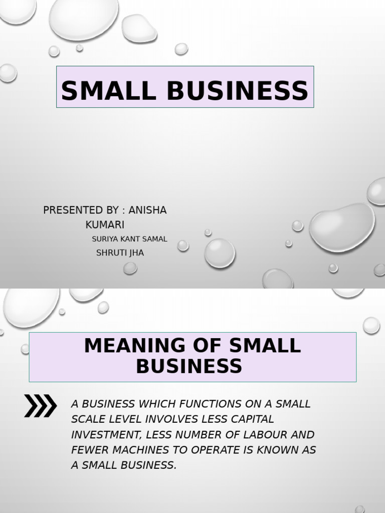 Small business | PDF | Small Business | Business
