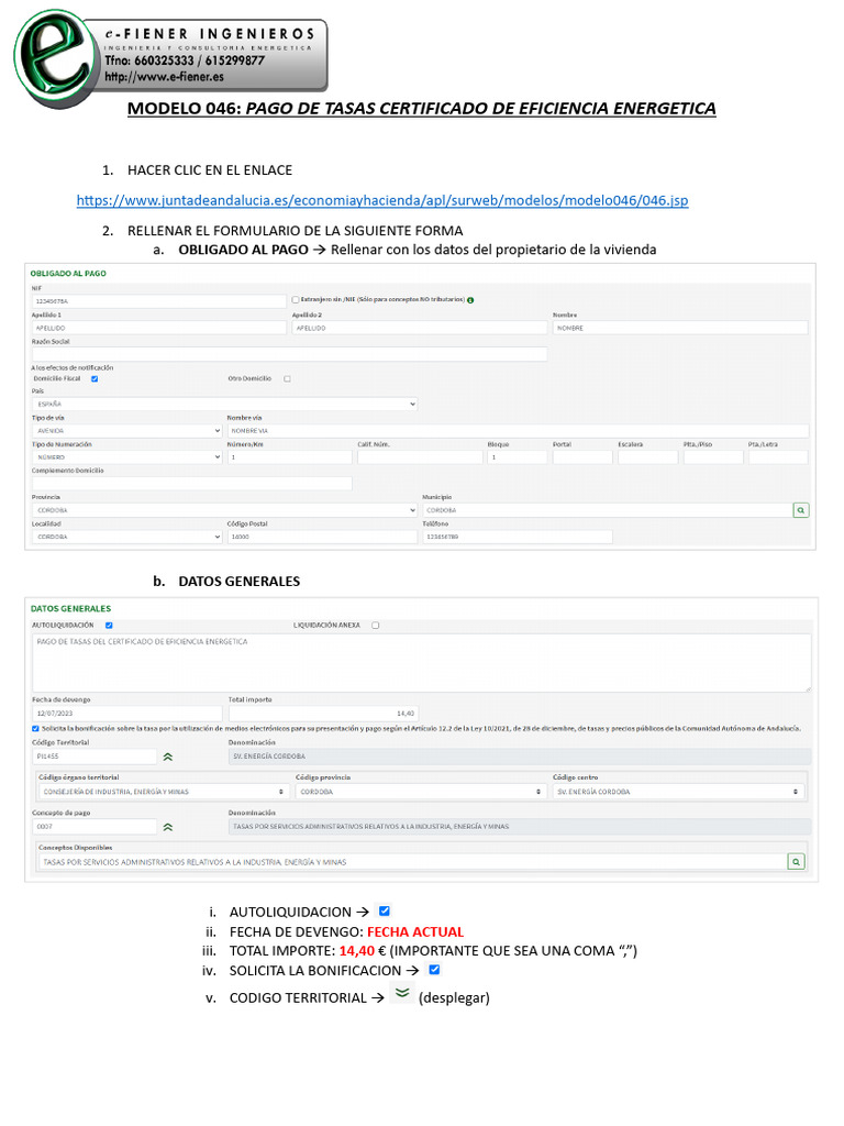 Mod 046 Tasas Cee | PDF