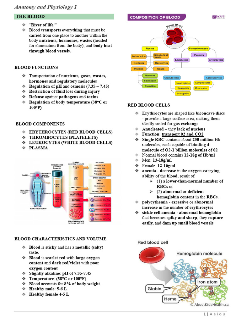 Blood Cardiovascular Notes | PDF | Heart | Heart Valve