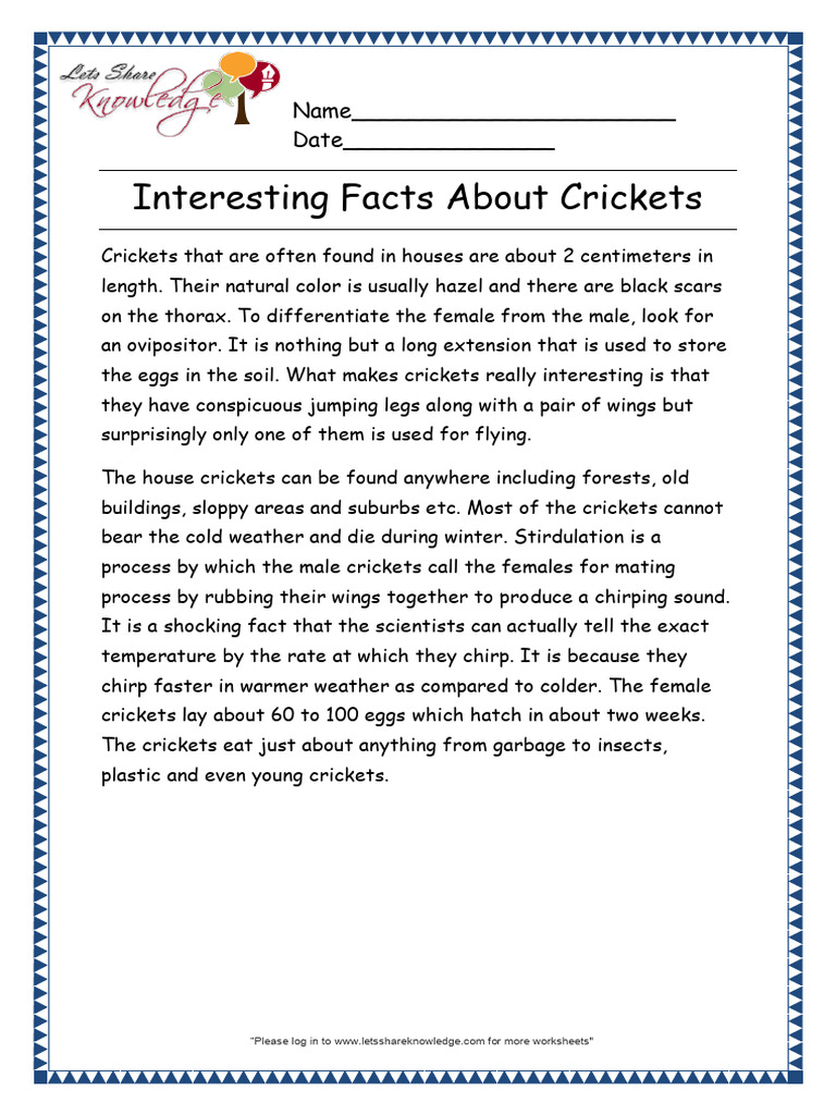 Fun Facts About Crickets | PDF | Insects | Insects And Humans