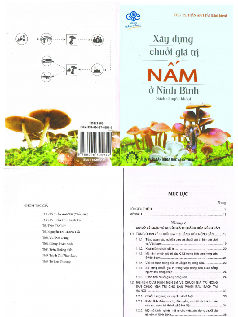 Sach - XD Chuoi Gia Tri Nam o NinhBinh | PDF